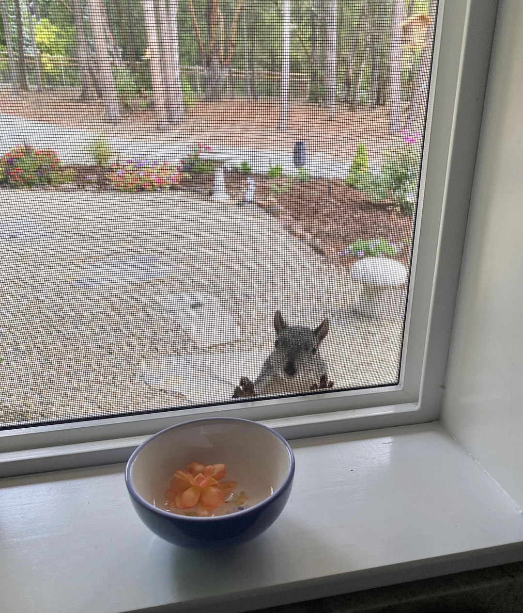 More Nuts Please | Scrolller