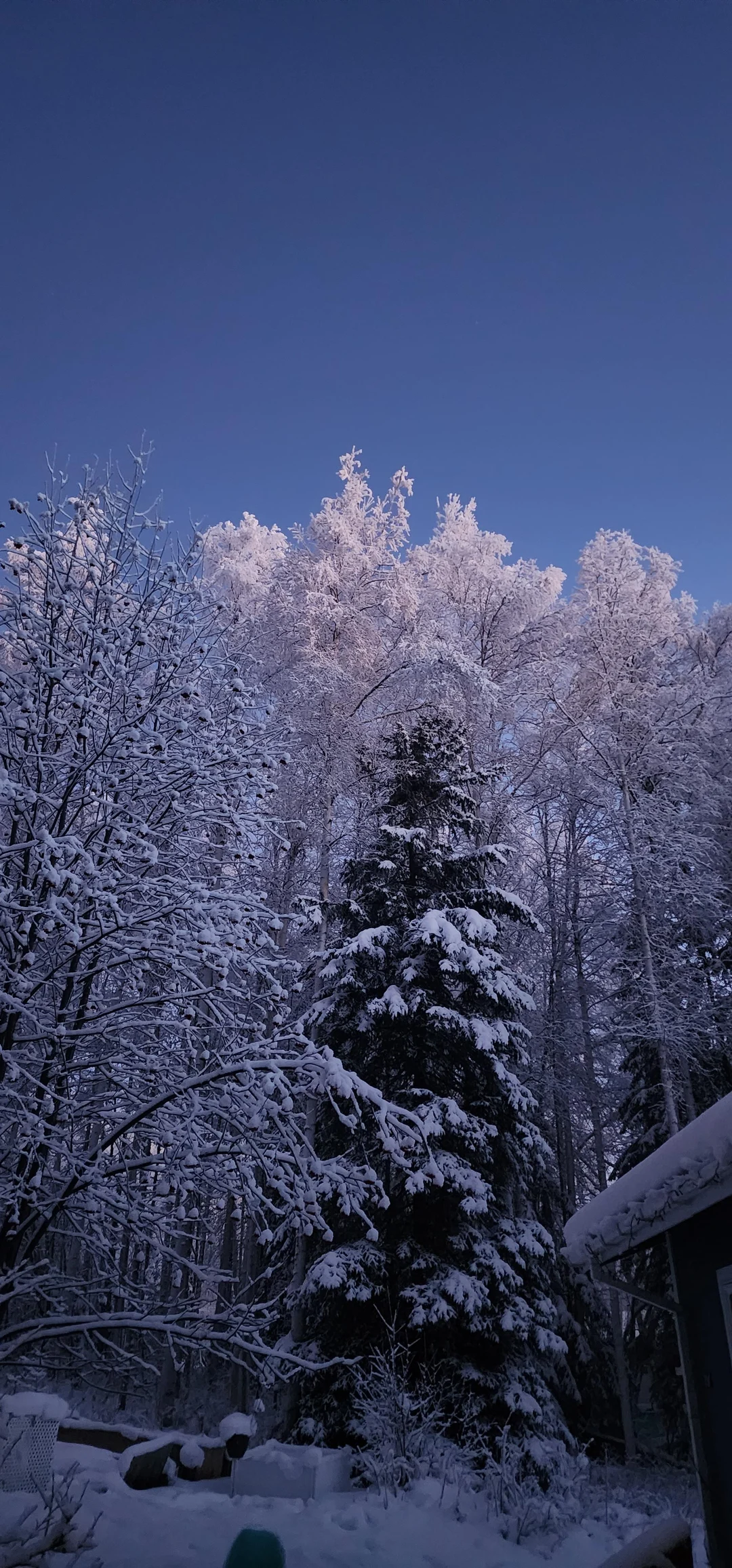 frost all around | Scrolller