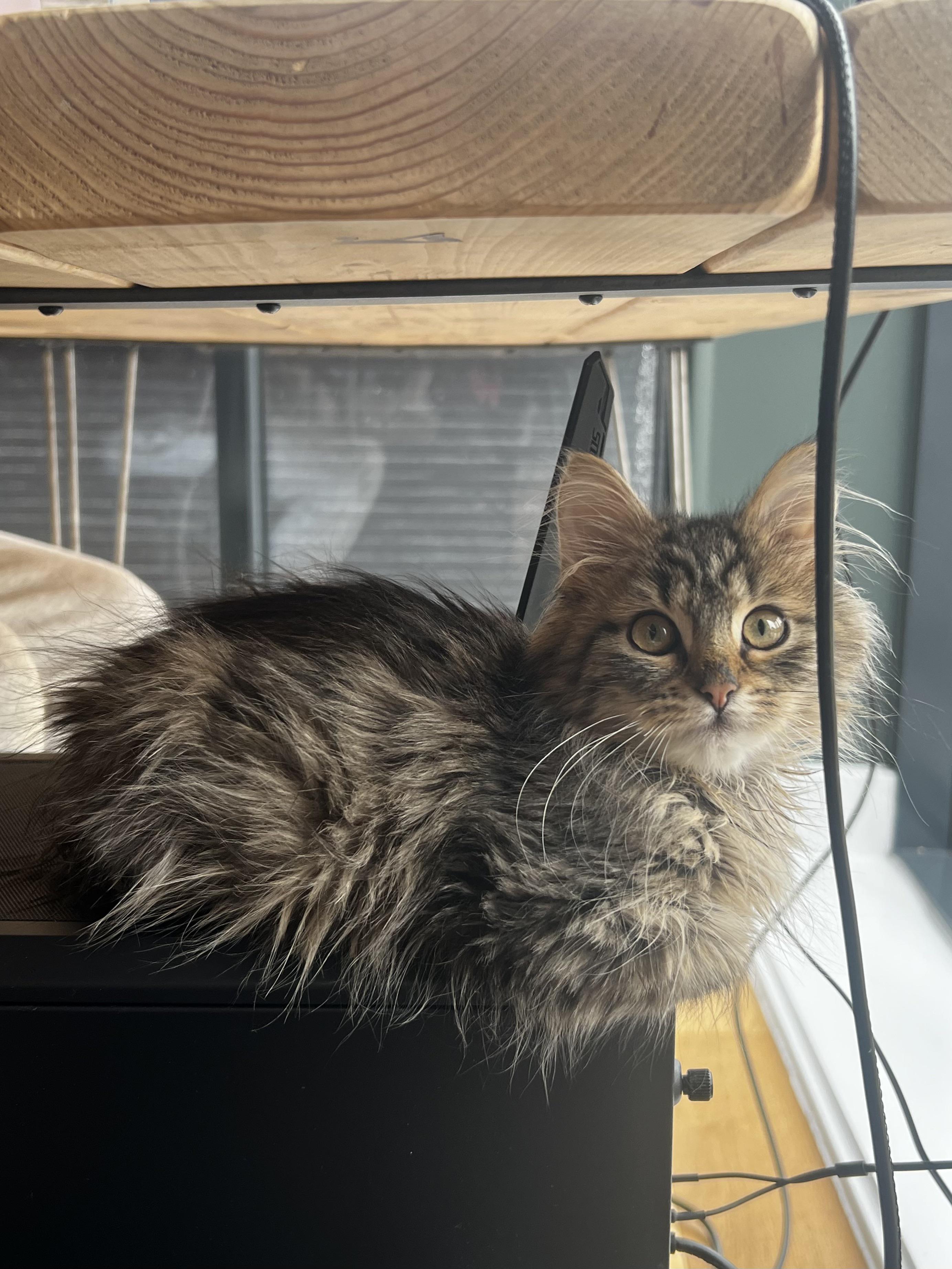 Spotted a tiny loaf | Scrolller