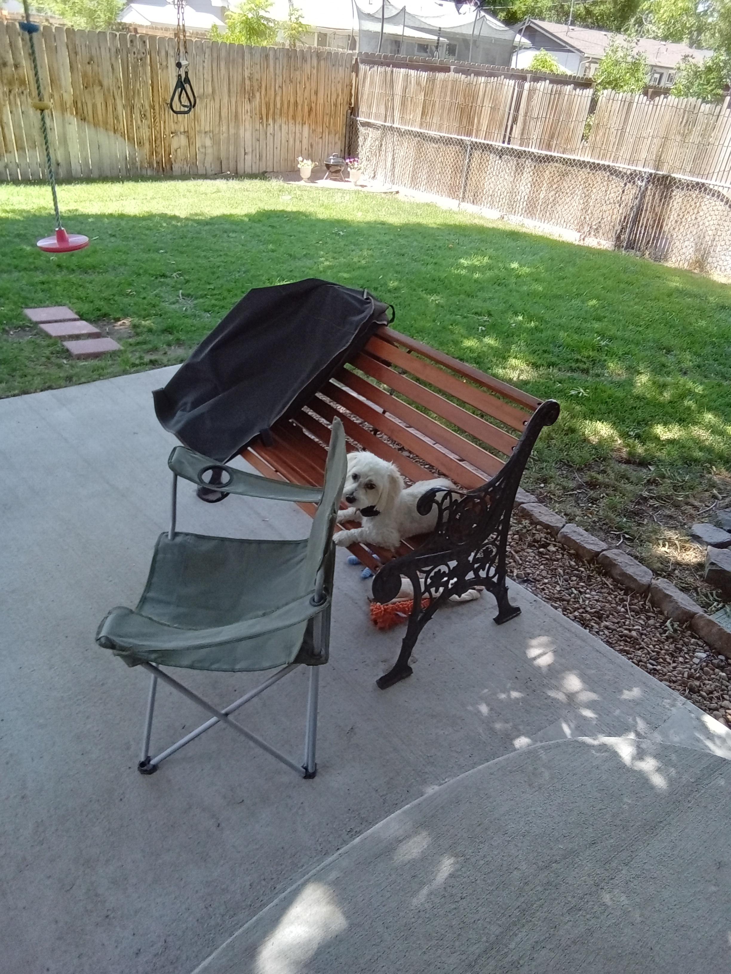 Luca loves our new bench | Scrolller
