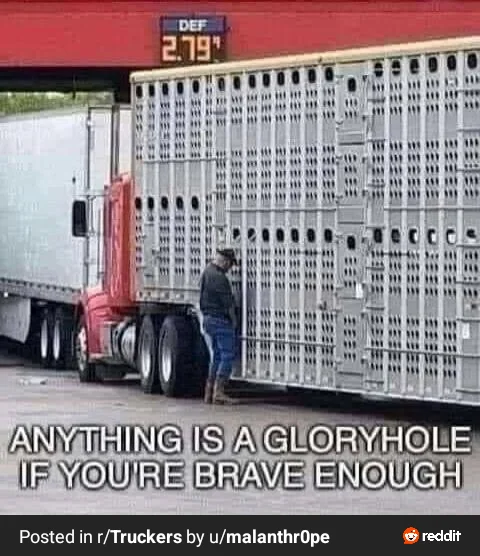 No, just no. Don't. | Scrolller