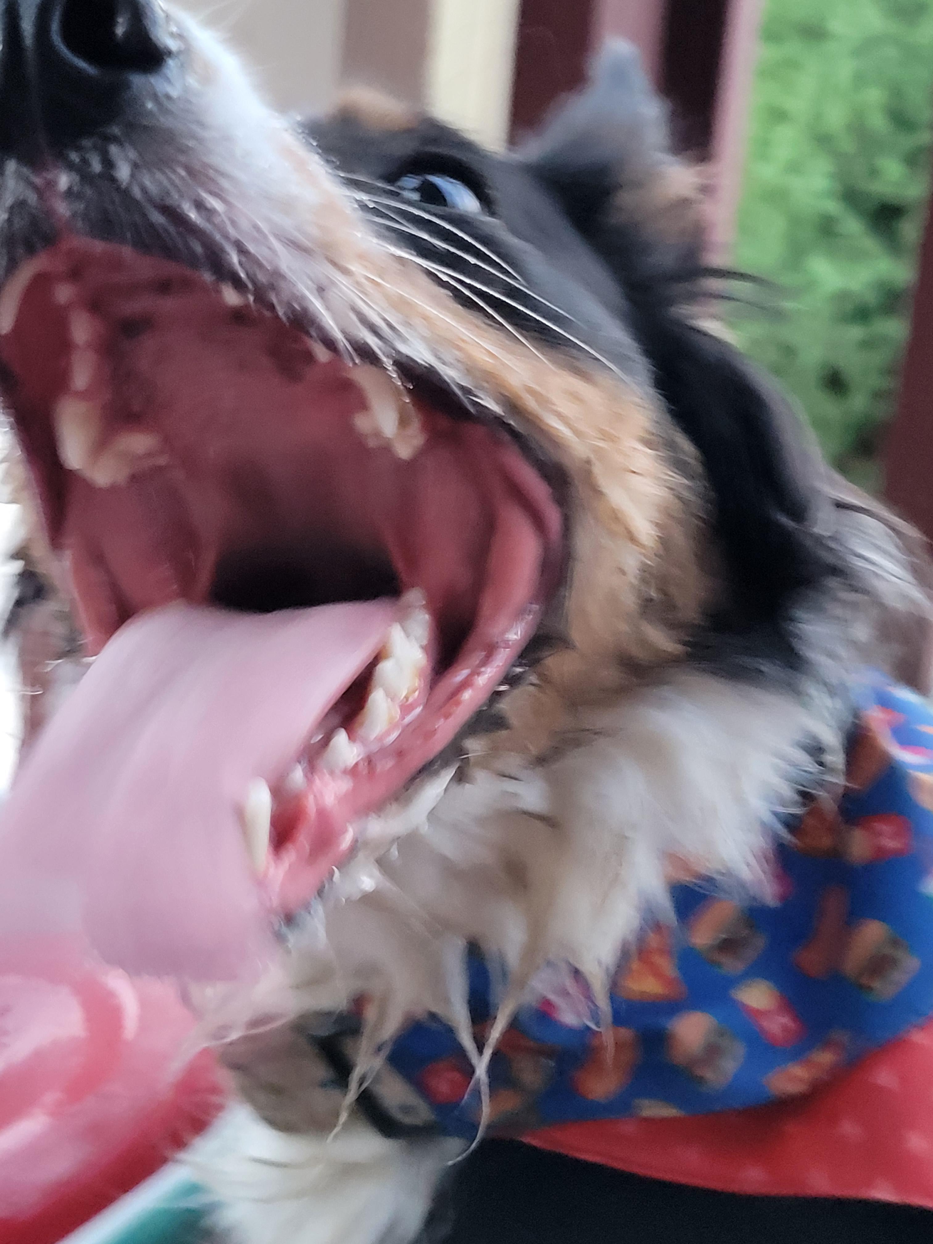 Thea looks ridiculous after exercise. | Scrolller