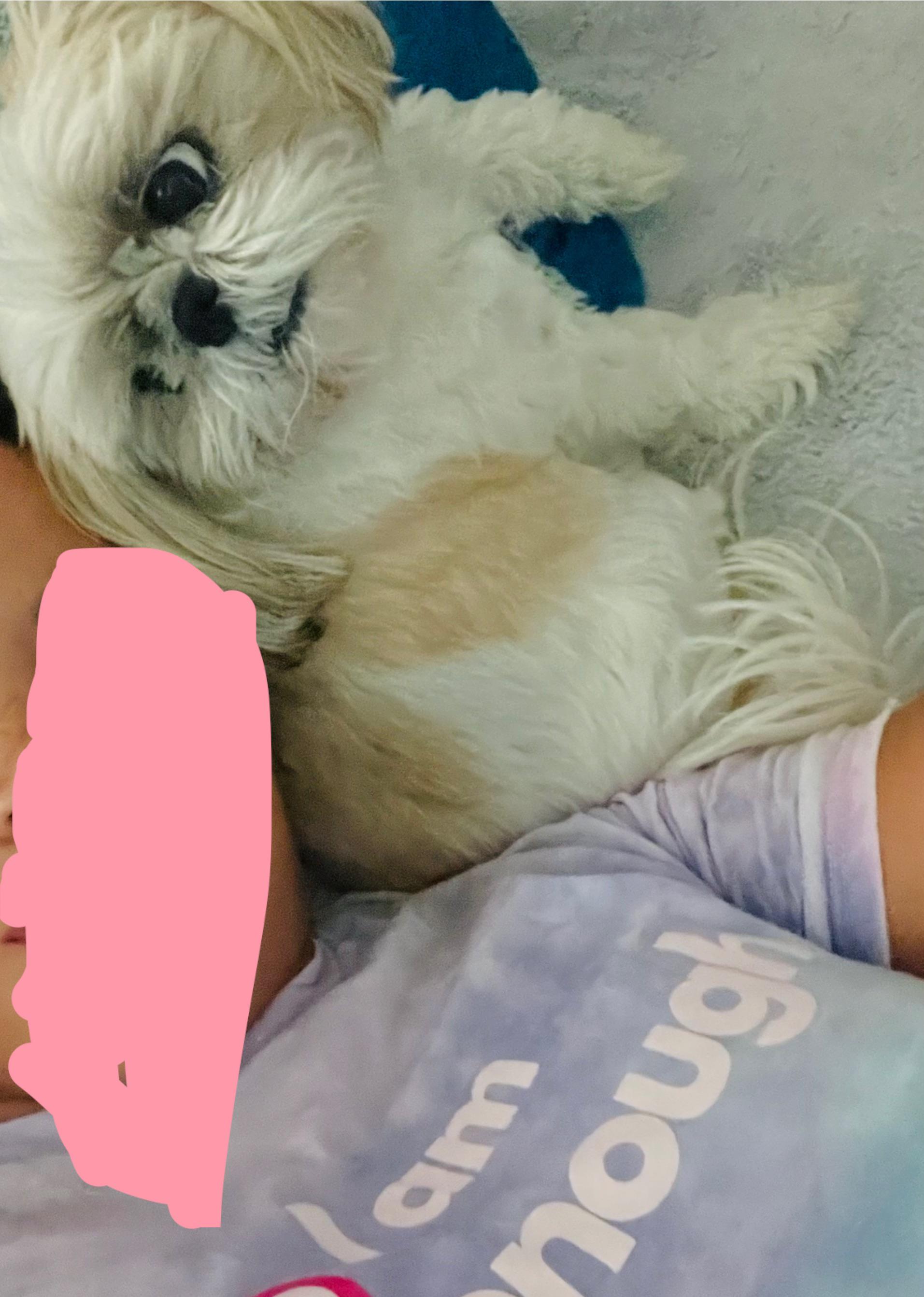 Pica pillow butt | Scrolller