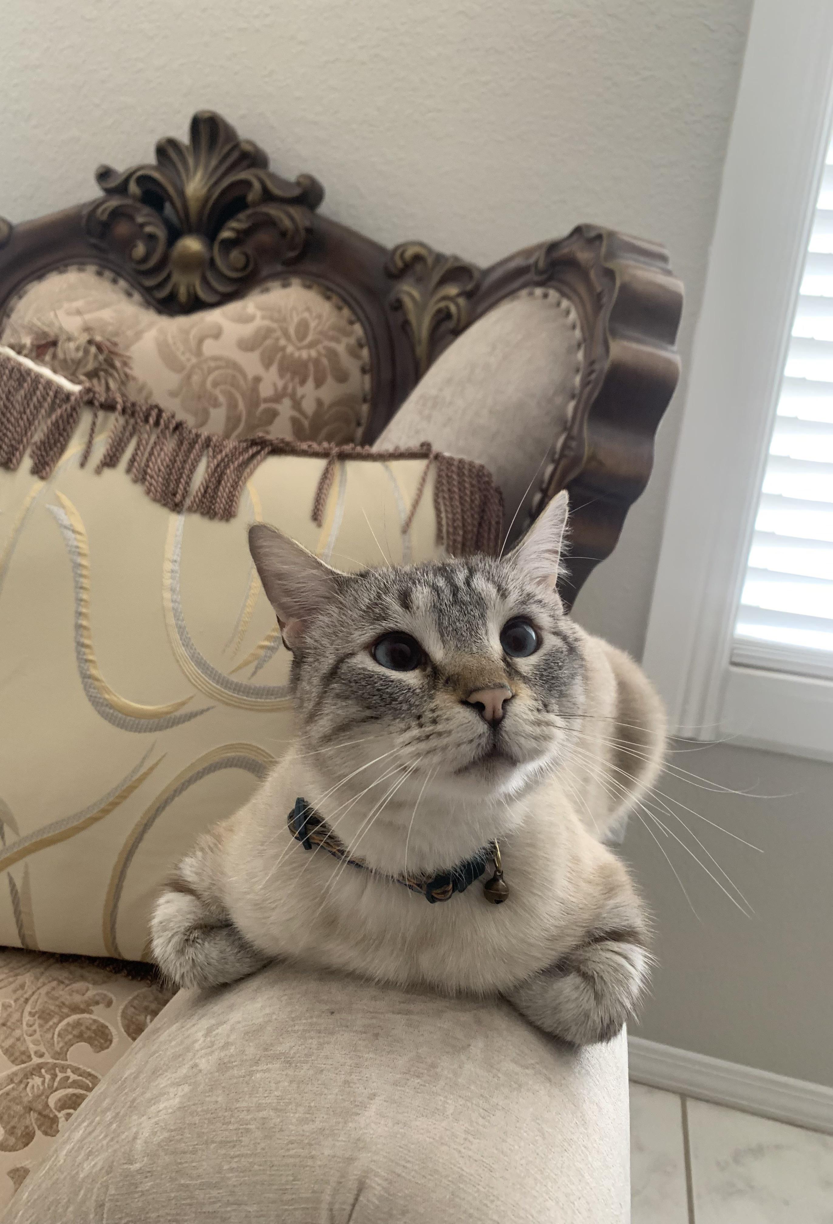 .:Astro:. | Scrolller