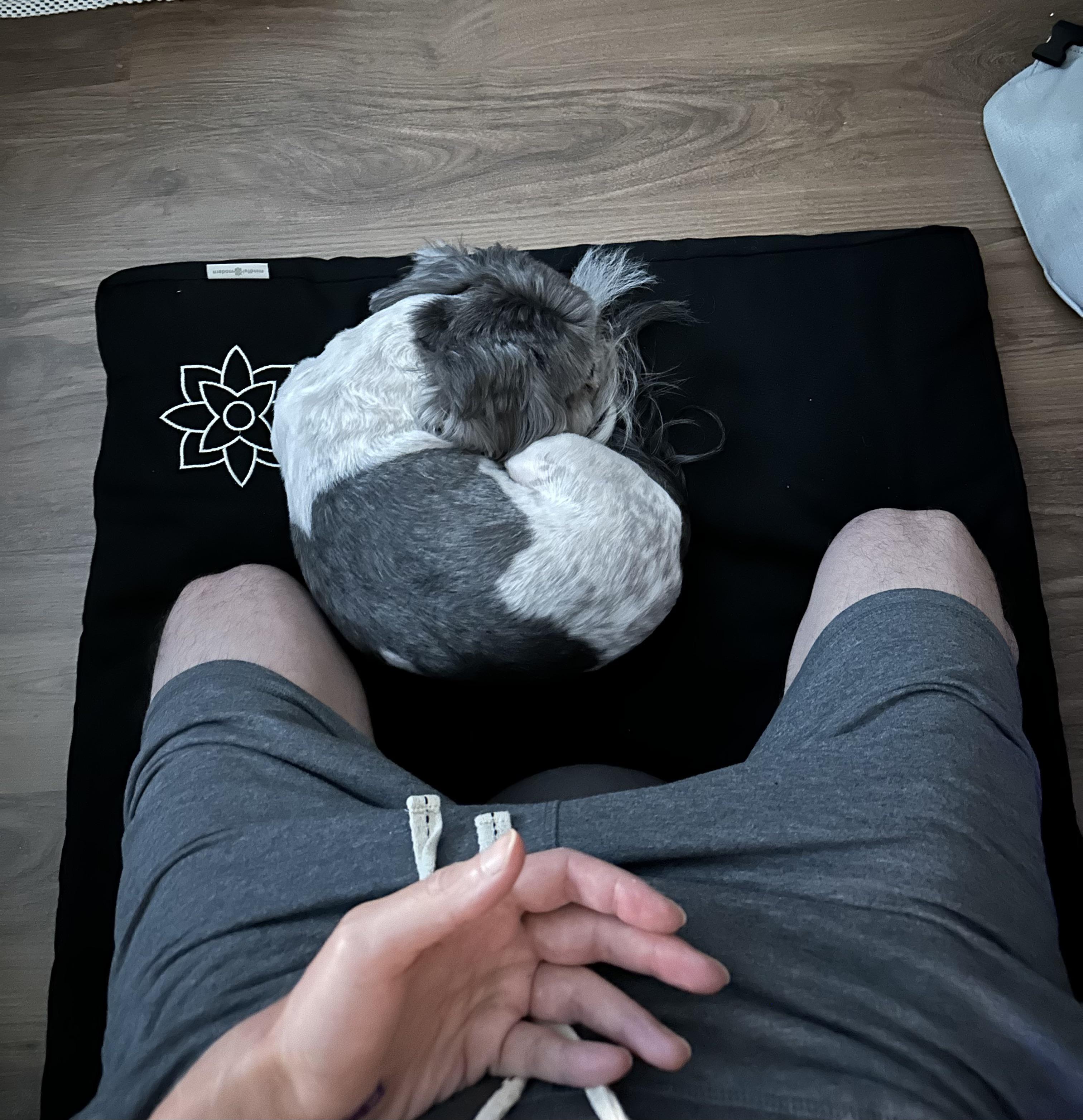 My daily meditation partner | Scrolller