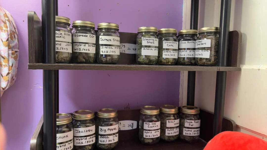 Weed stash update pt. 3 | Scrolller