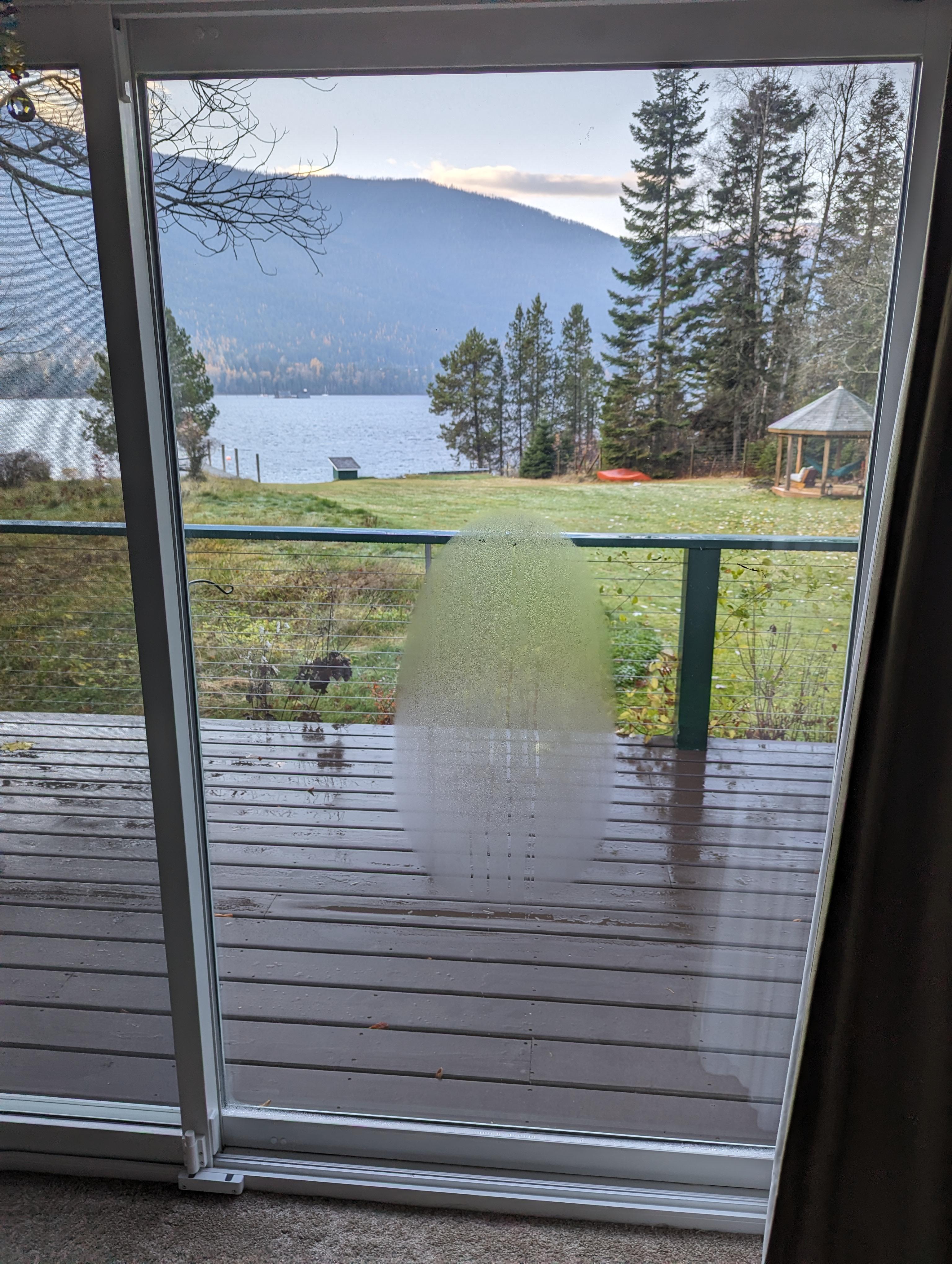 What causes this? | Scrolller