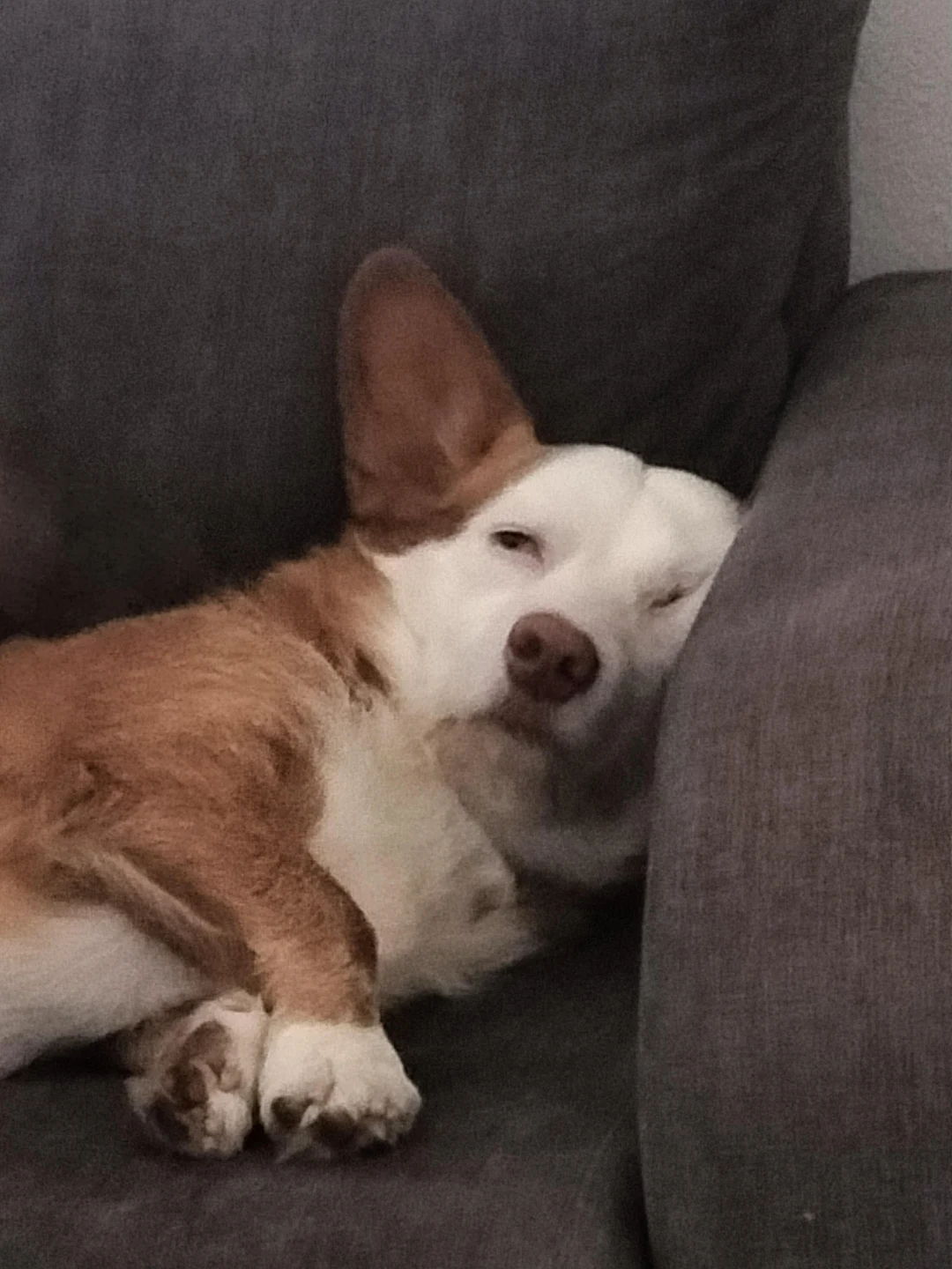 That surely isn't comfortable | Scrolller