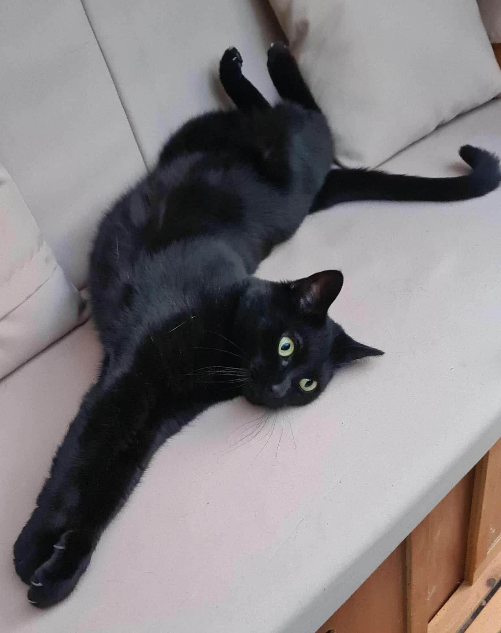 Long Void | Scrolller