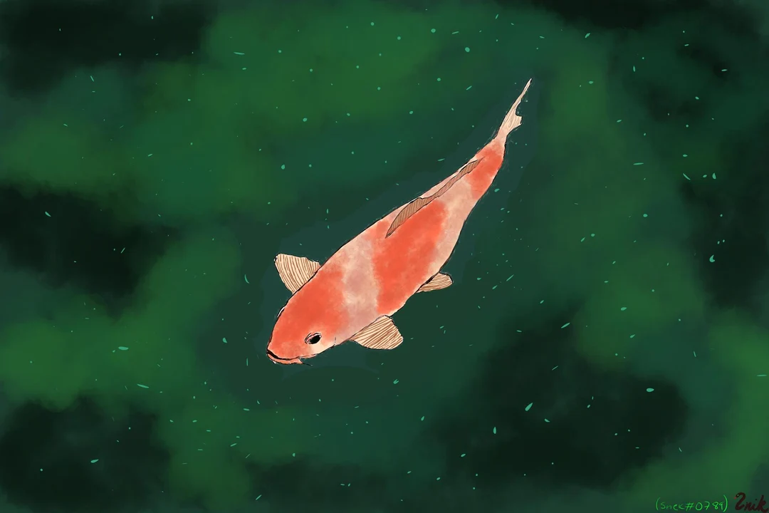 A Koi Fish, me, Medibang, 2022 | Scrolller