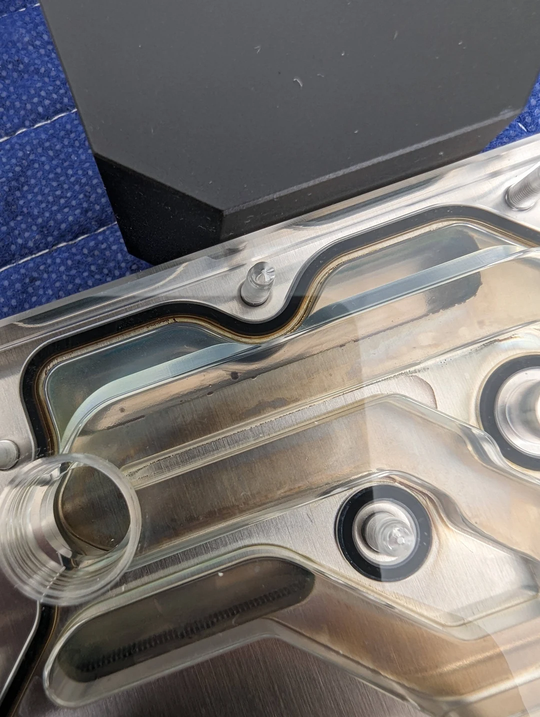 Growth or EK plating? | Scrolller