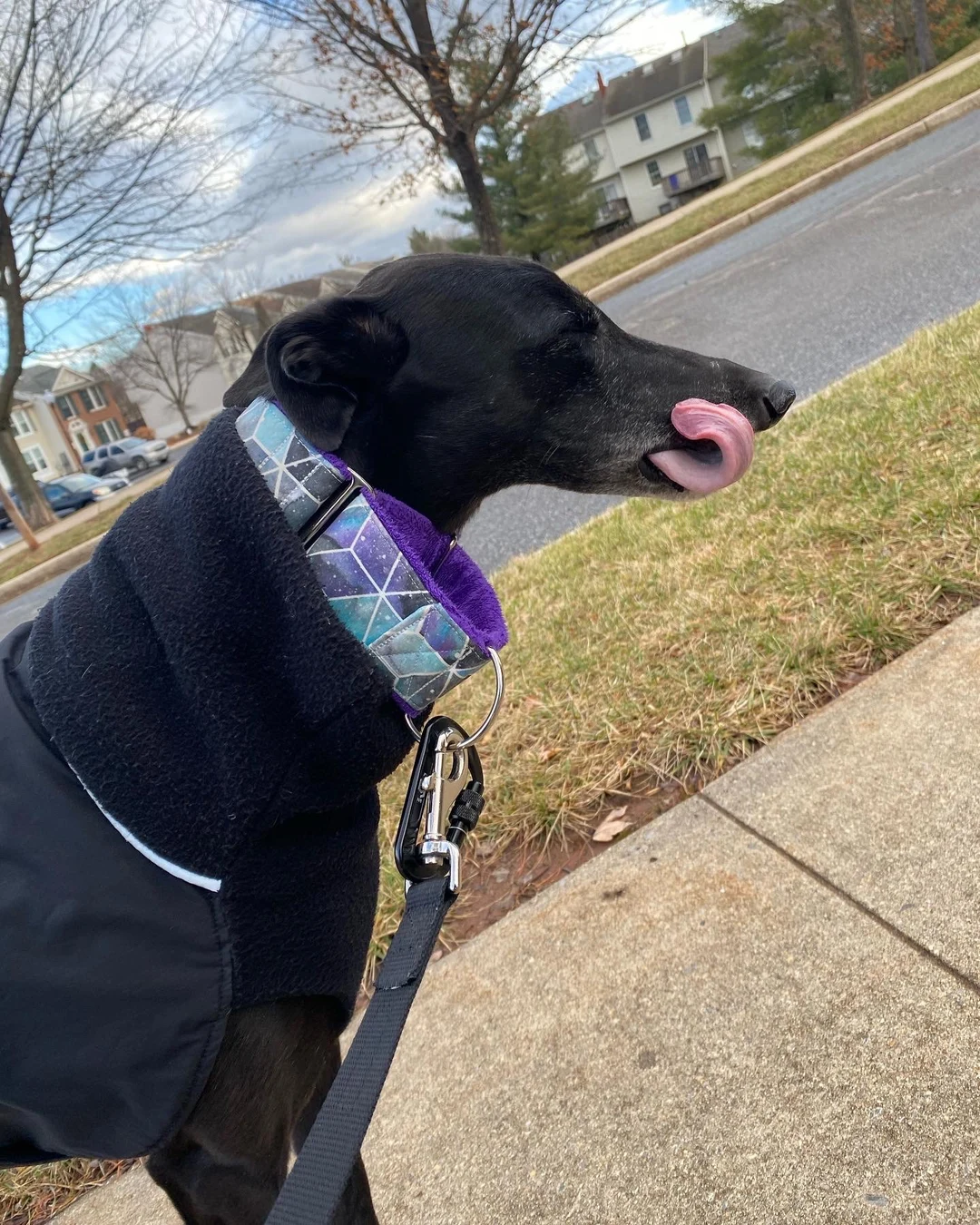 Photoshoot fail | Scrolller