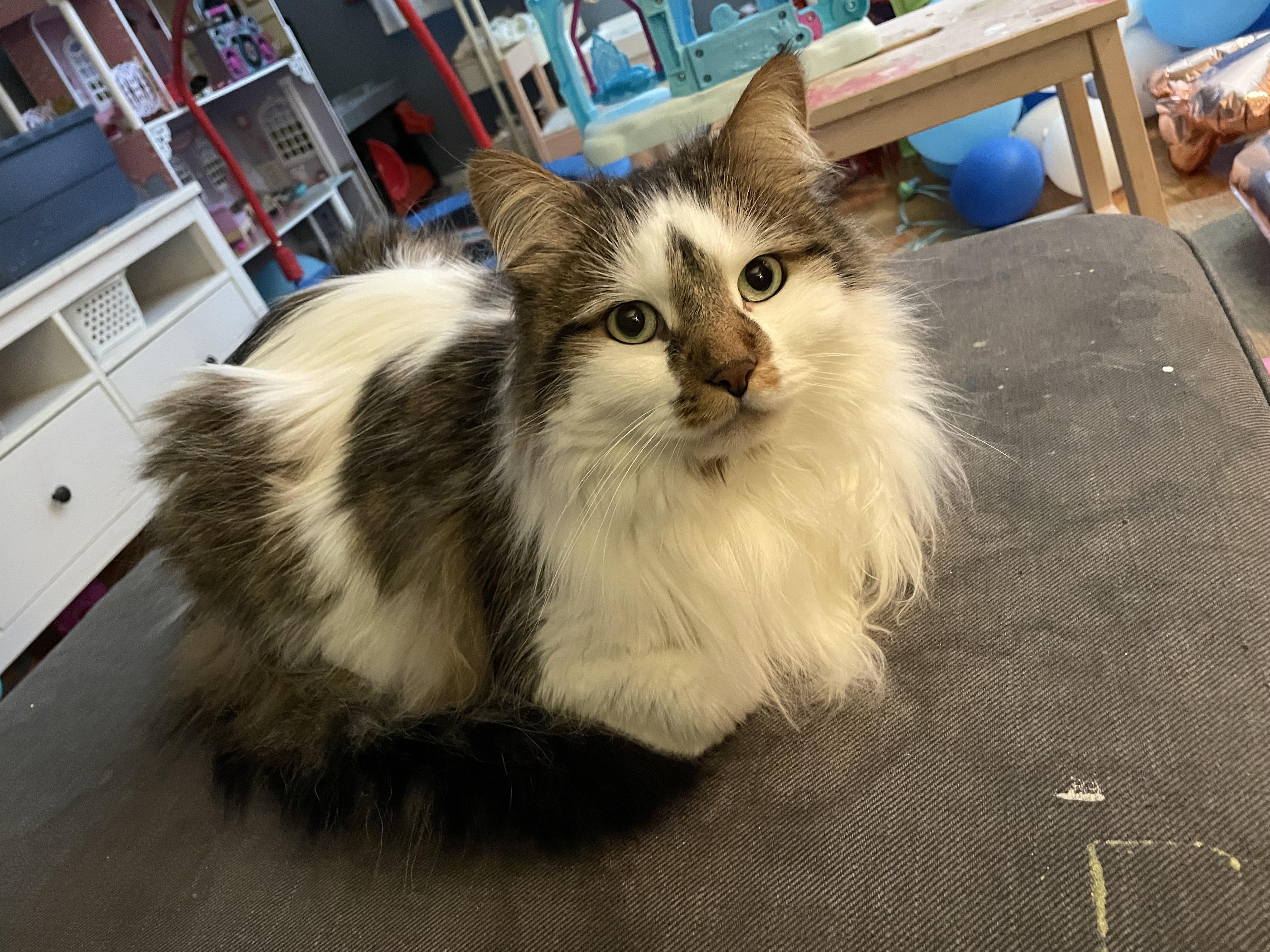 Marble loaf for you all | Scrolller