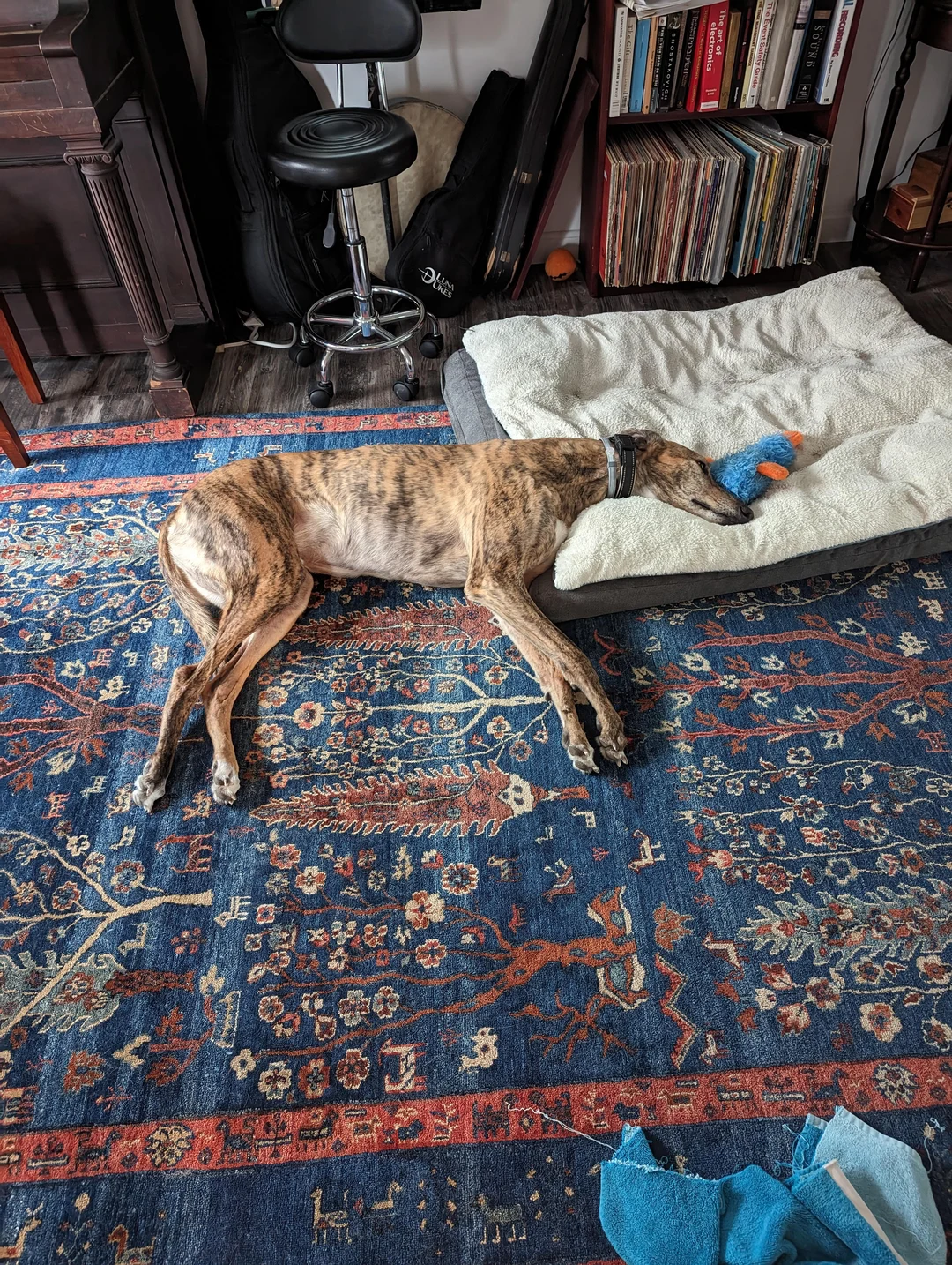 Is it a bed fail, or just the world's largest pillow? | Scrolller