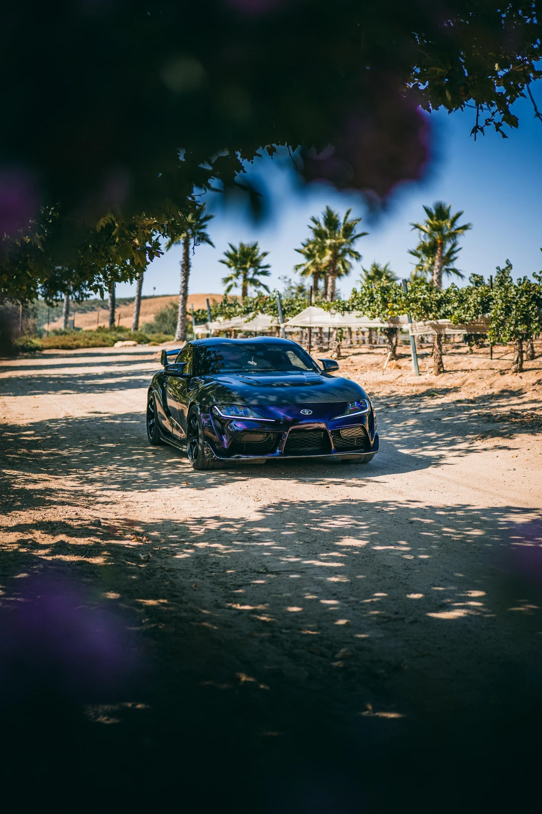 Toyota Supra GR [3816 x 5724] | Scrolller