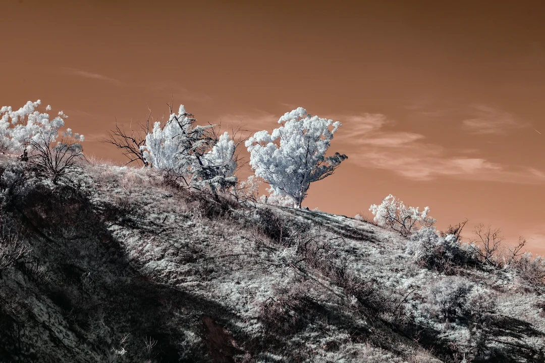 Hillside | Scrolller