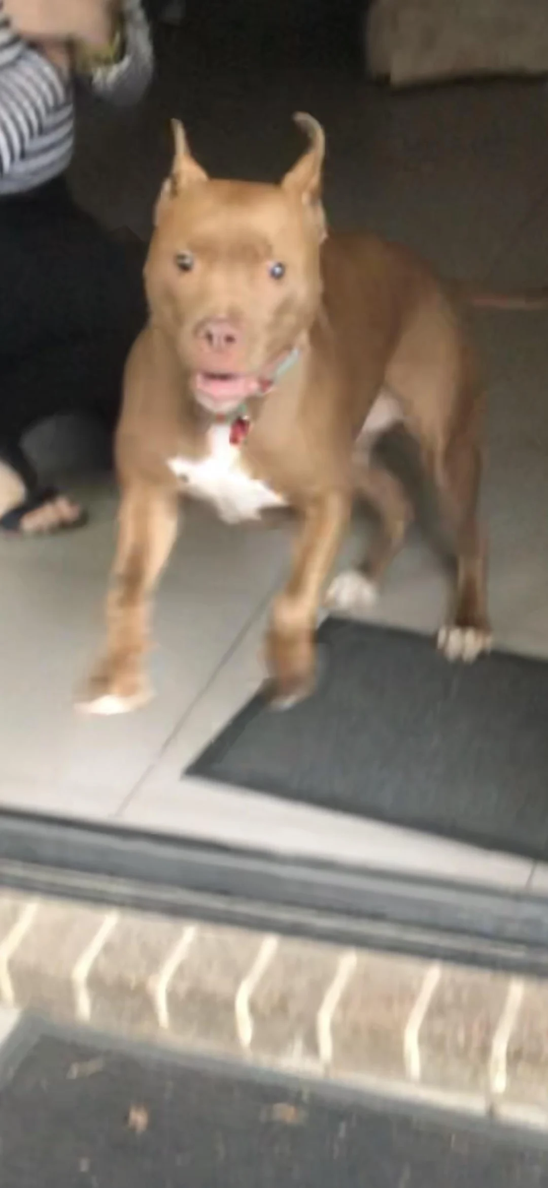 Gotta go fast | Scrolller