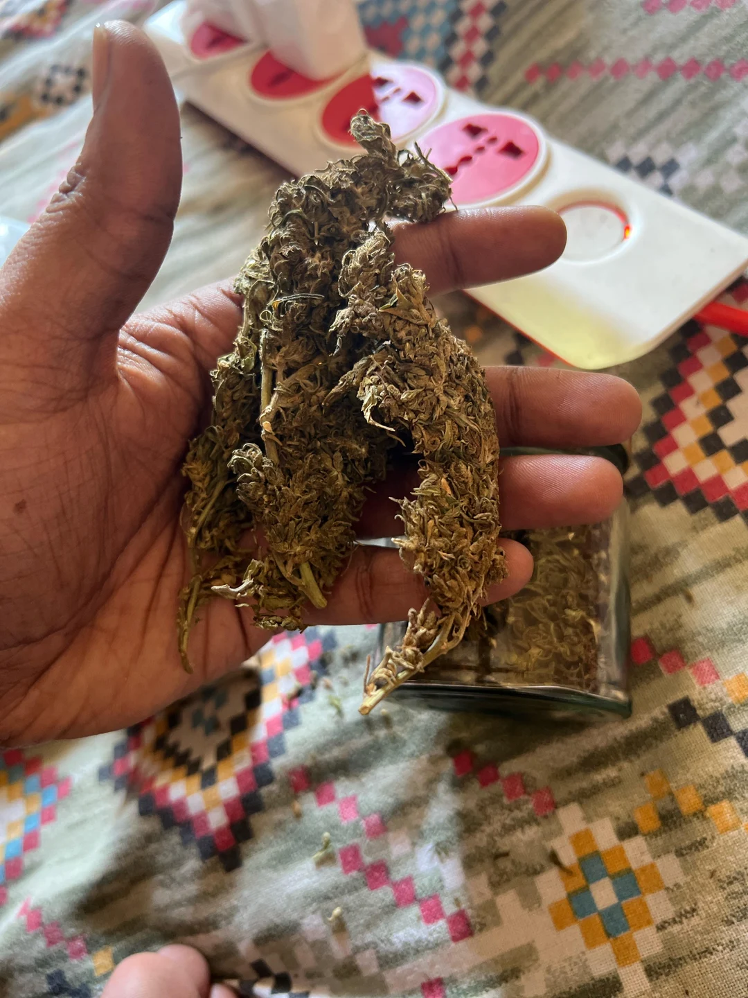 Shillong mango from india | Scrolller