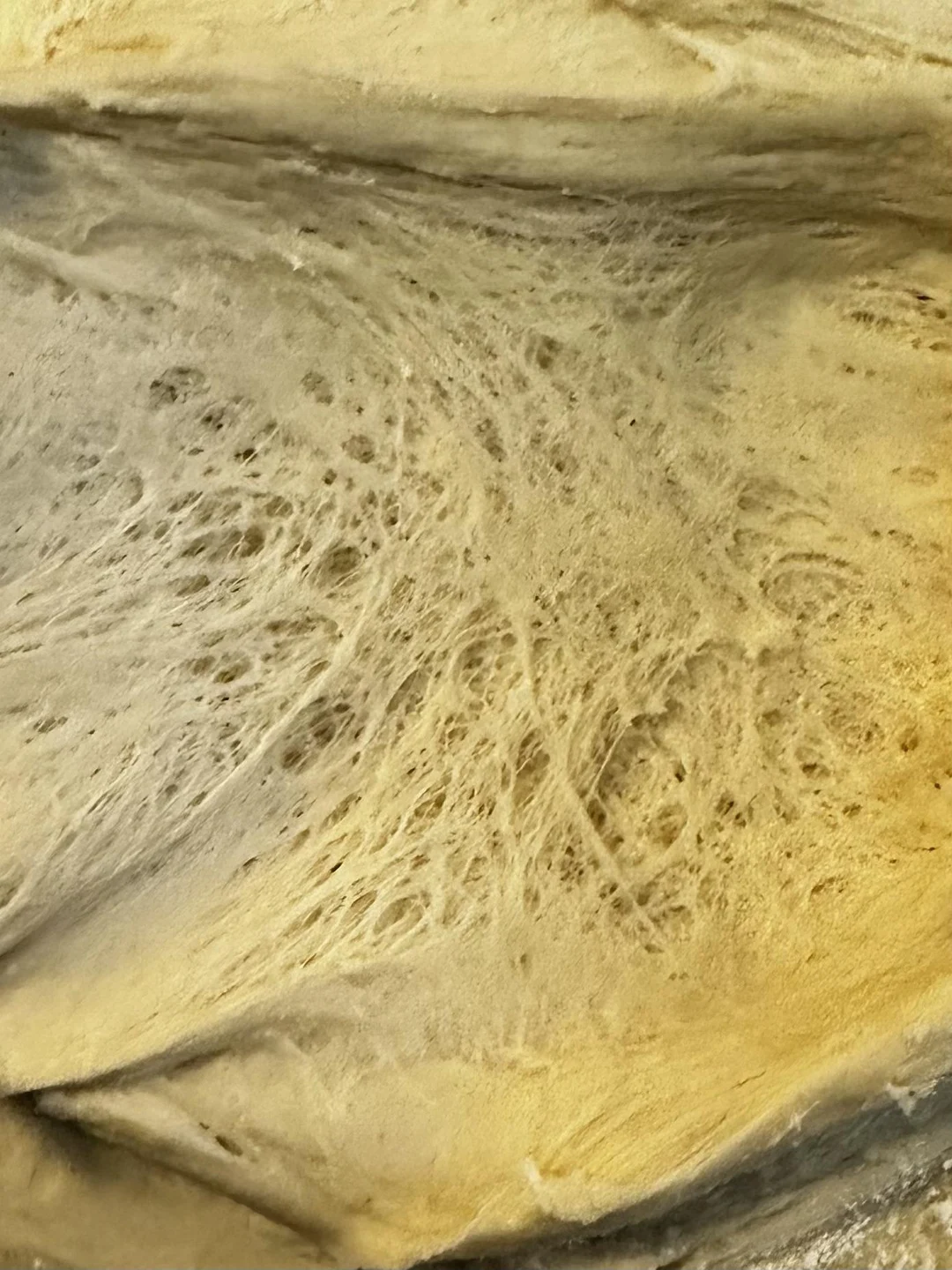 Gluten web. so cool | Scrolller