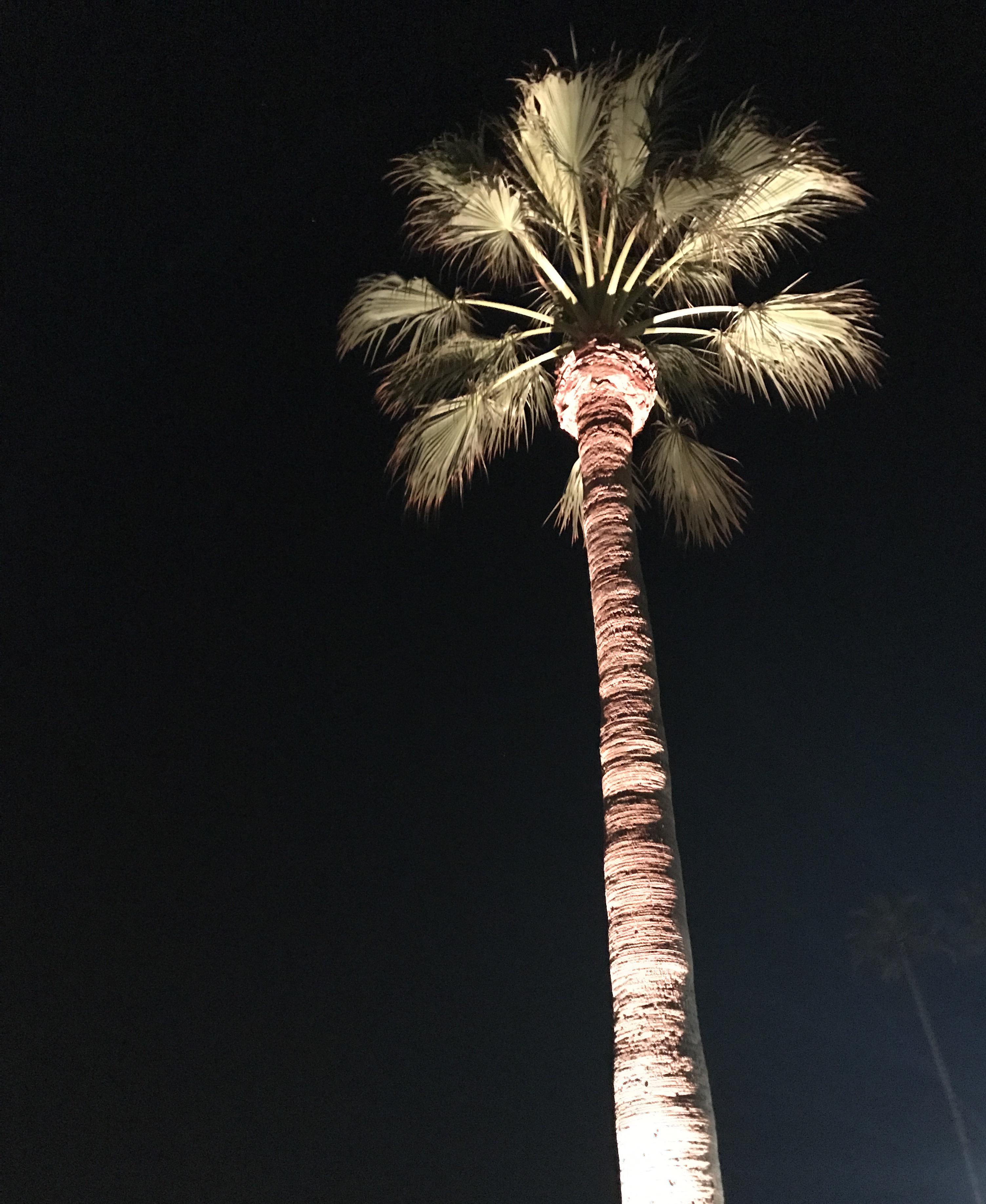 Well Lit | Scrolller