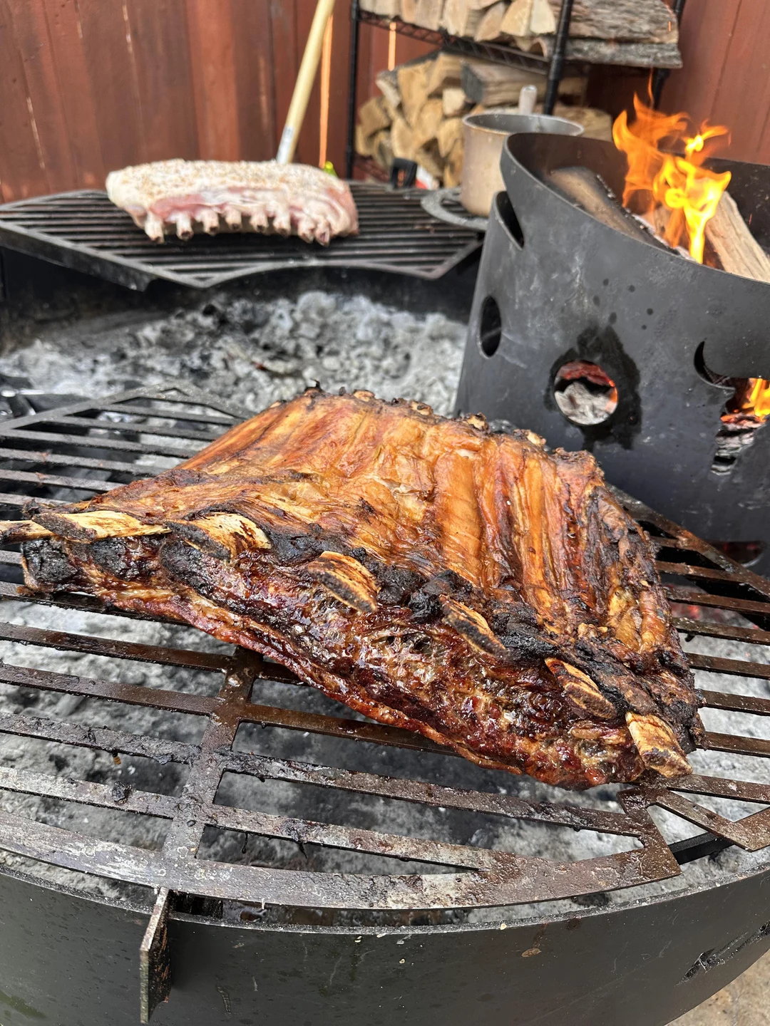 Pork ribs | Scrolller