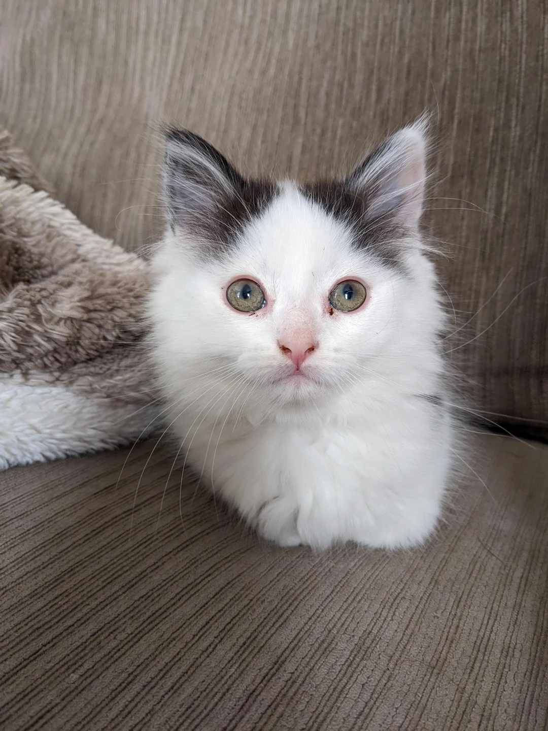 It's not perfect, but it's his first loaf! | Scrolller