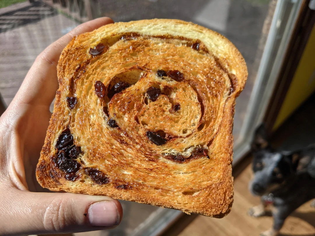 First loaf with a sourdough starter, cinnamon raisin. I'm hooked! | Scrolller