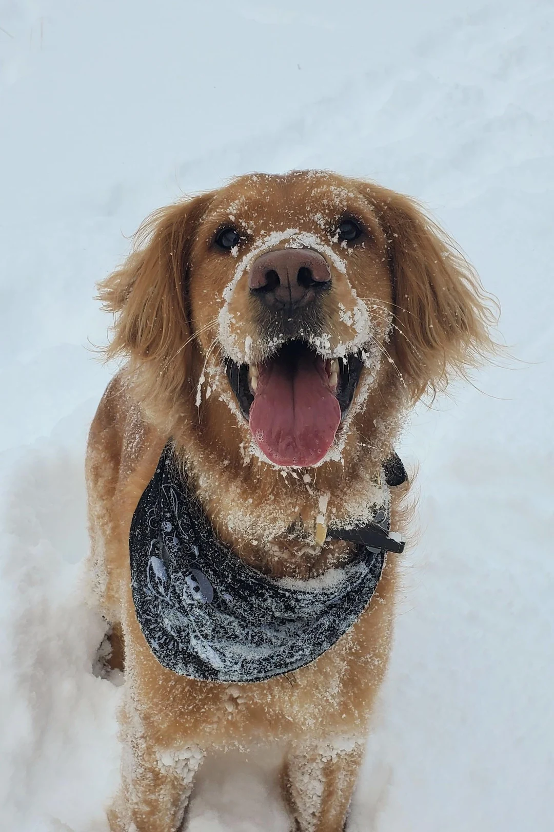 Fresh makes Ember very happy! | Scrolller