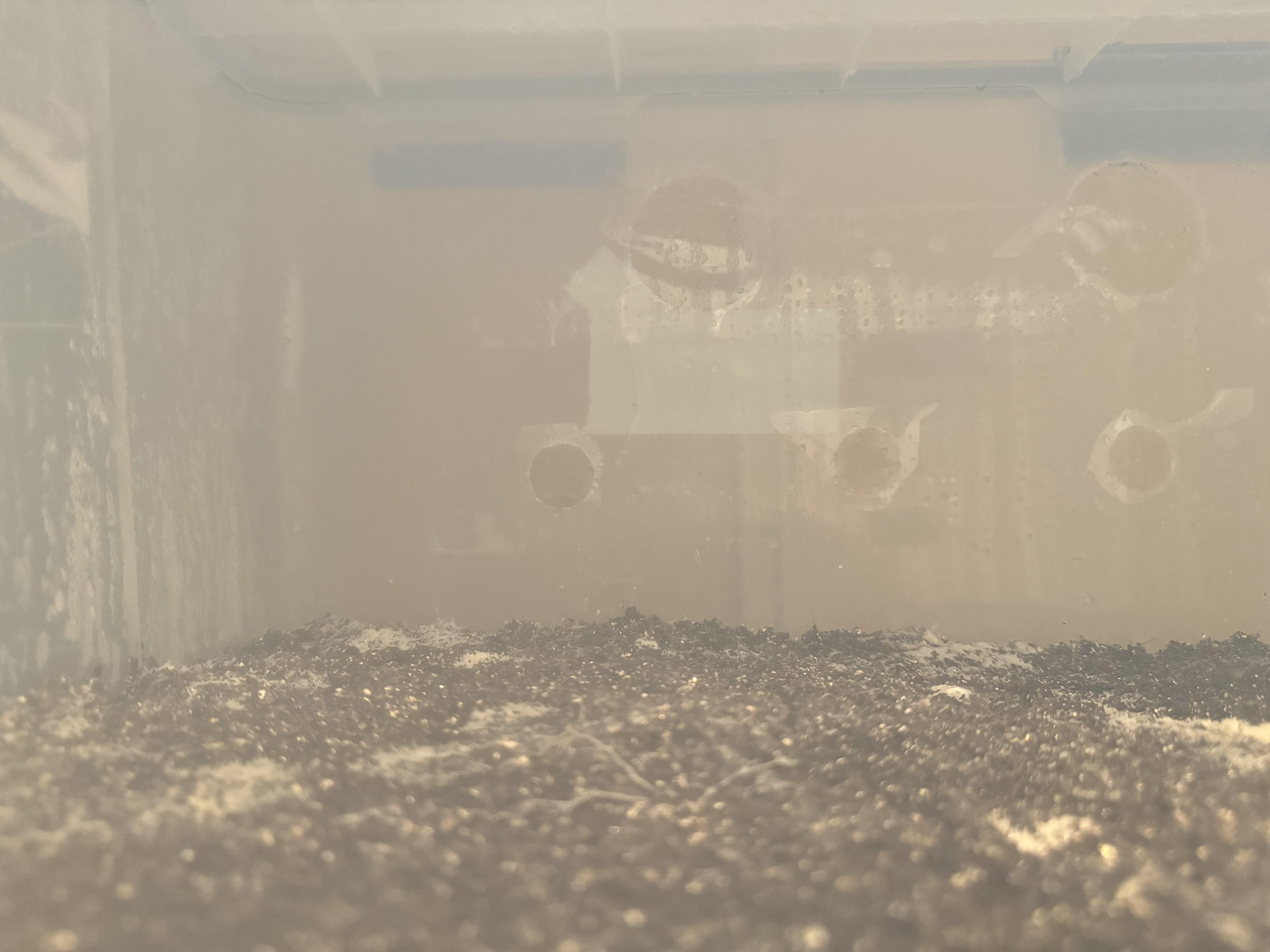 [actives] First time growing | Scrolller