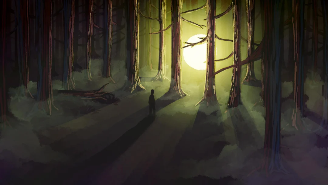 Dark Forest [1920x1080] | Scrolller