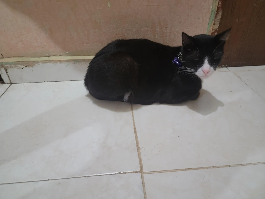 smol 10/10 loaf | Scrolller