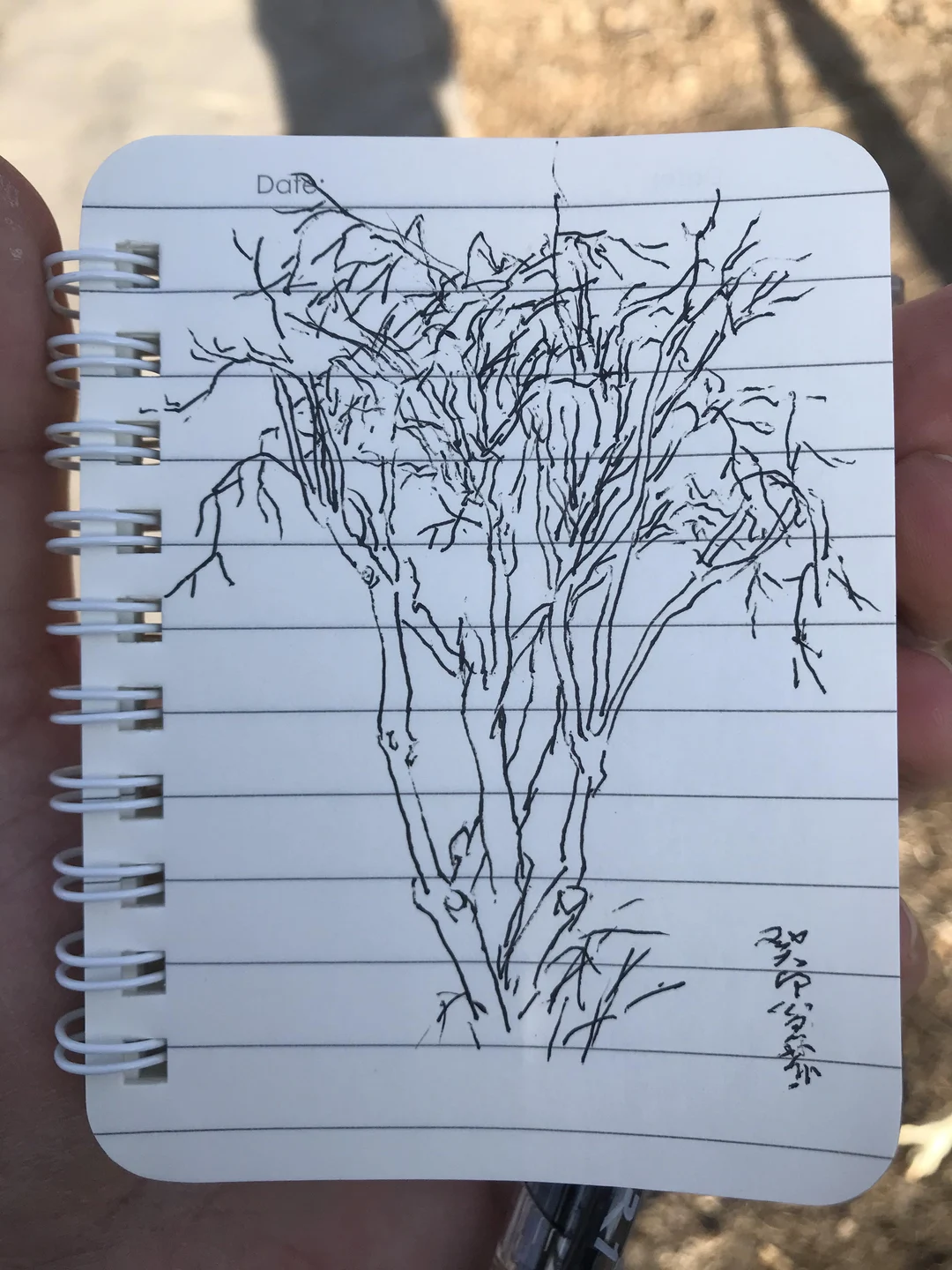 Tree,Me,Ink,2023 | Scrolller