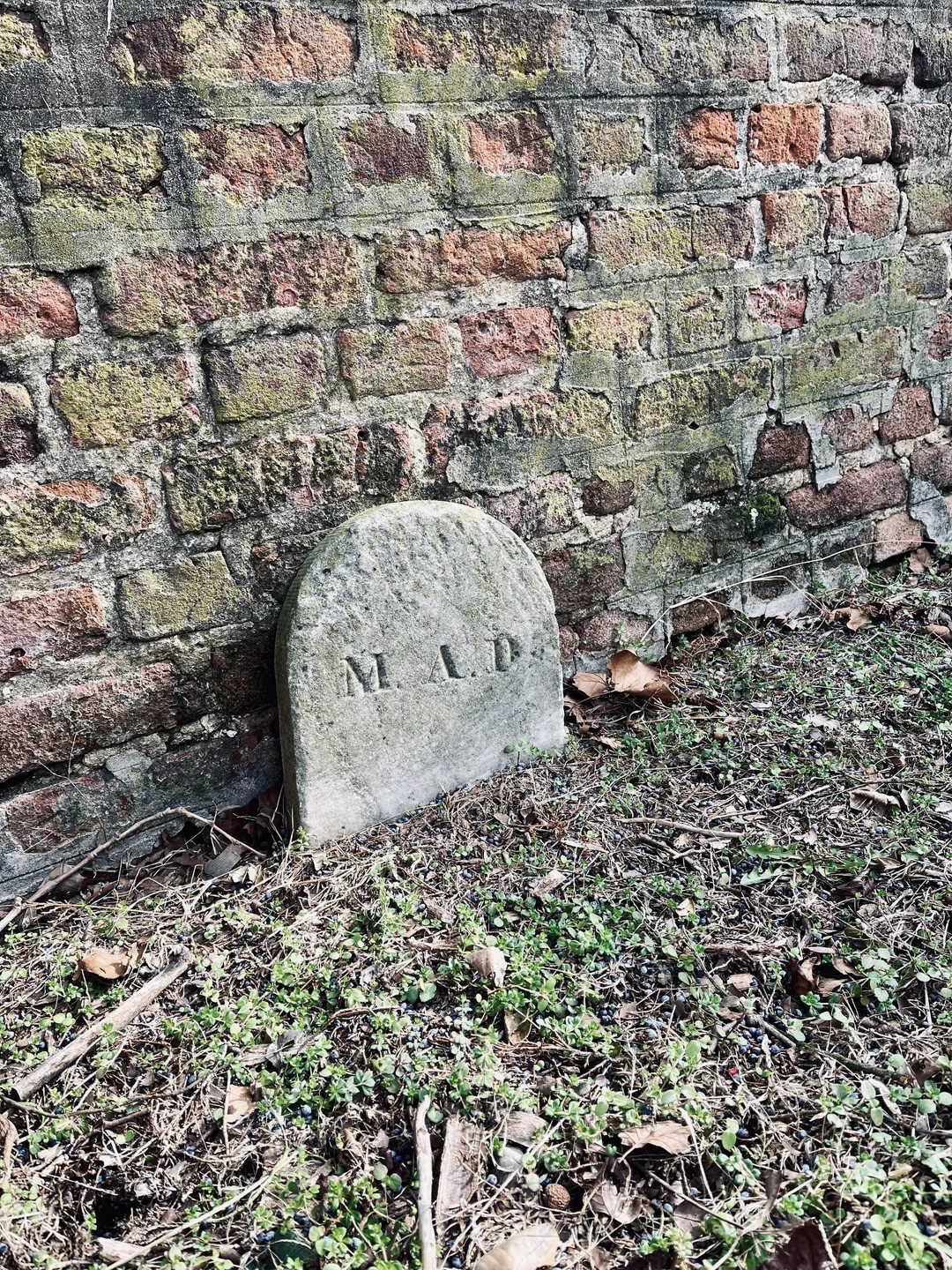 Honestly, same. | Scrolller