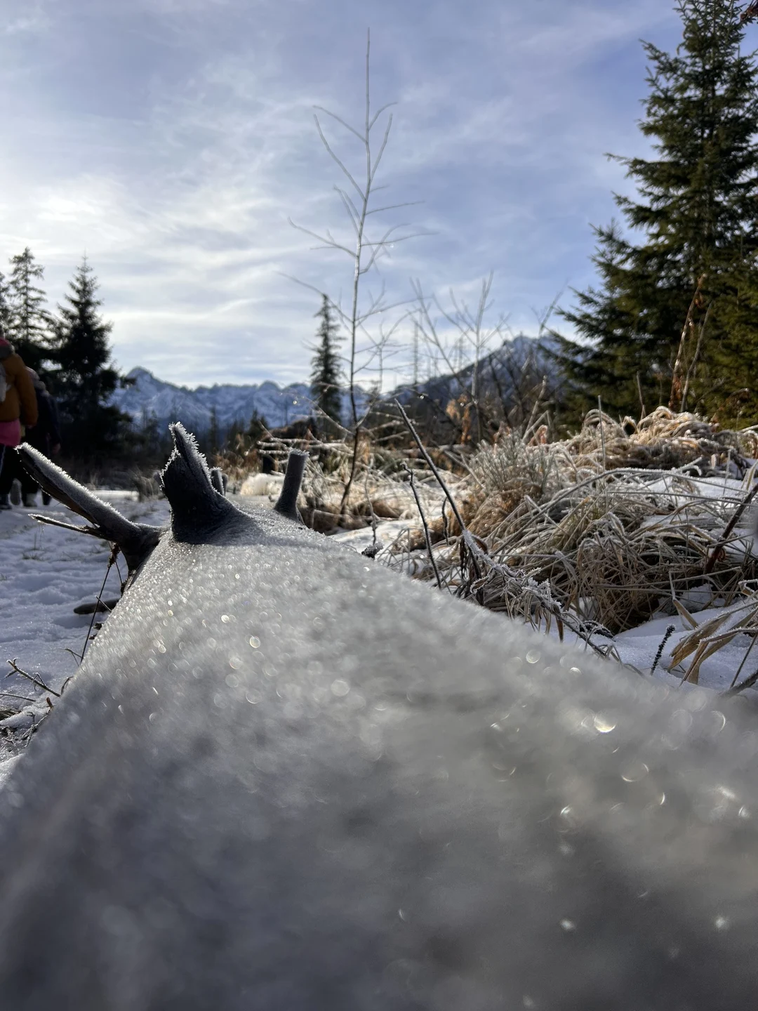 Sunny winter day in the Tatra Mountains [OC] 3024x4032 | Scrolller