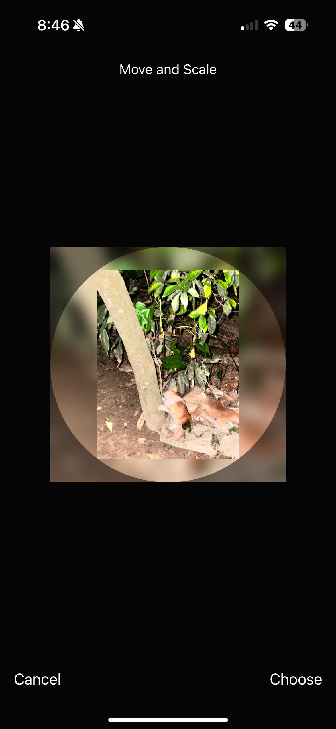 Why do i have this blurry foreground while setting my profile picture? (Different pic for ...