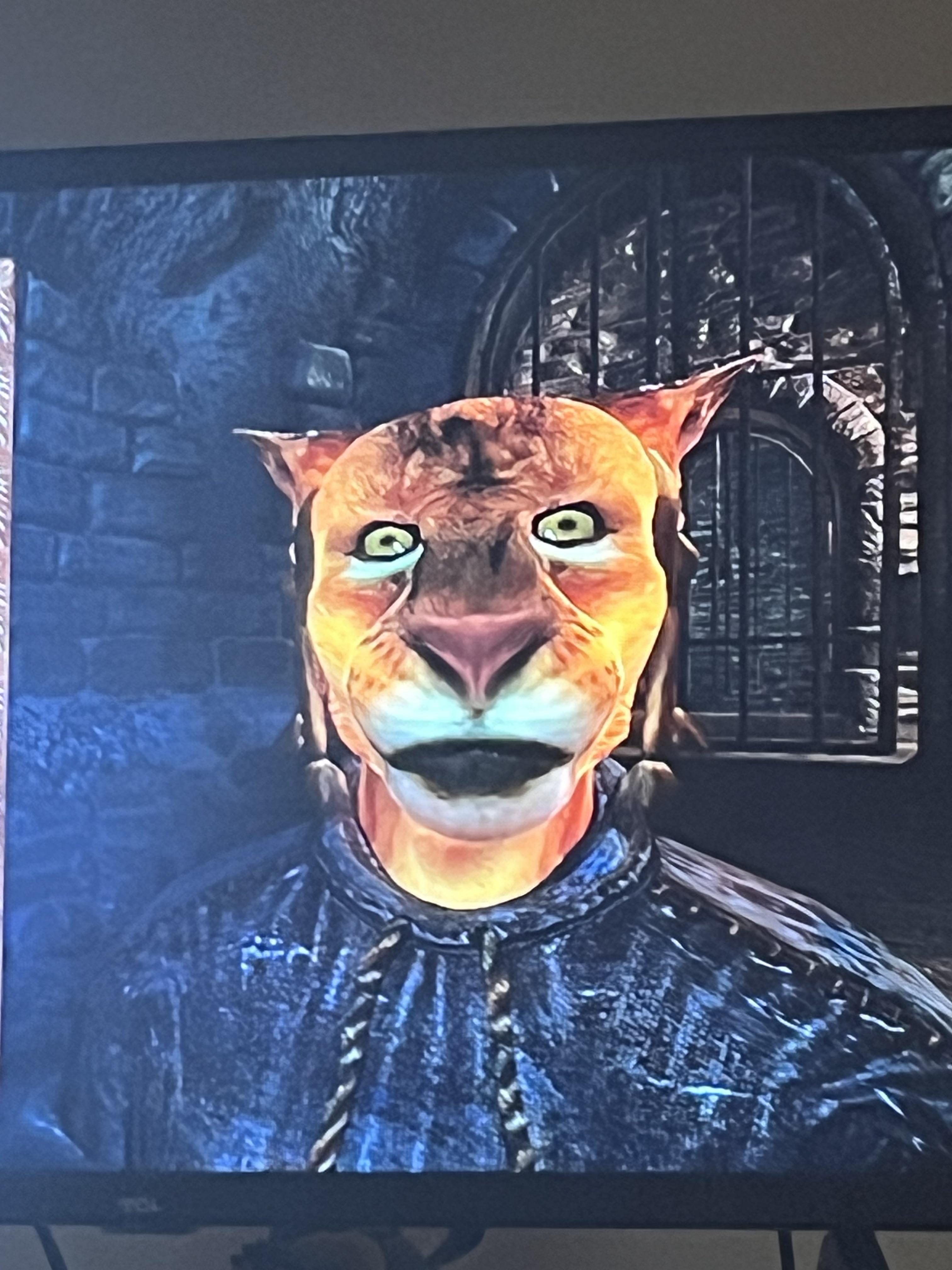 Started playing recently and am used to Skyrim Anniversary Edition. I was very caught off guard ...