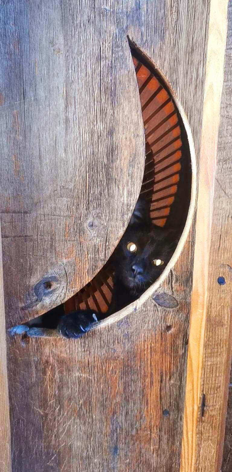 Void in the moon | Scrolller