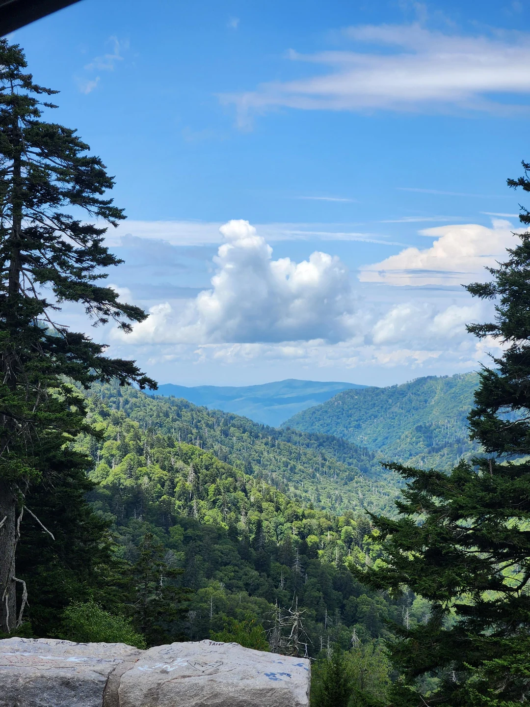 Morton Outlook, Great Smoky Mountains National Park (Tennessee, US) [3000x4000] [OC] | Scrolller