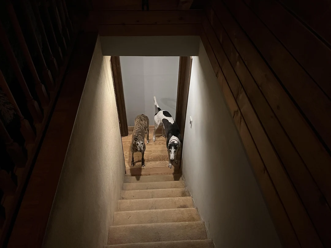 Greer and Hazel are plotting something. | Scrolller