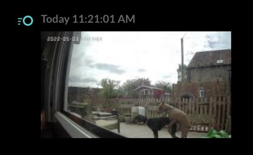 Motion detected…🤦🏻‍♂️ | Scrolller