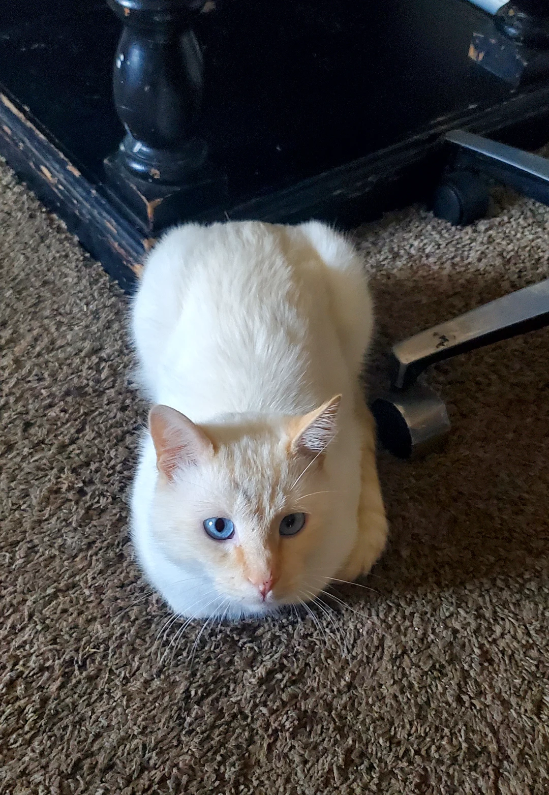 Undercooked loaf | Scrolller