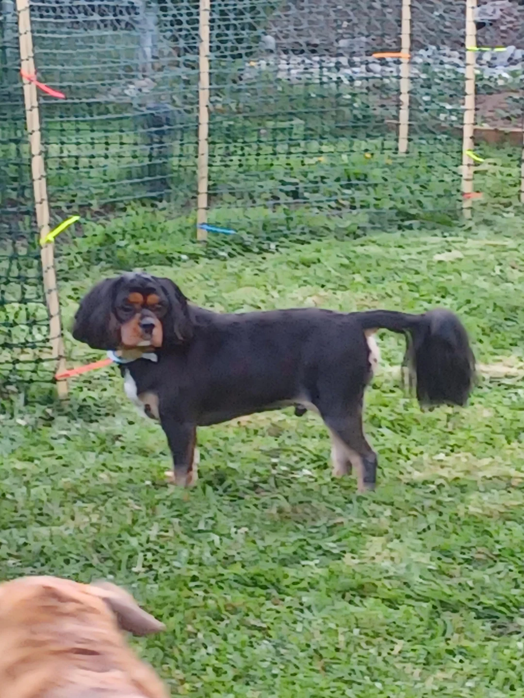 Terrible Gas | Scrolller