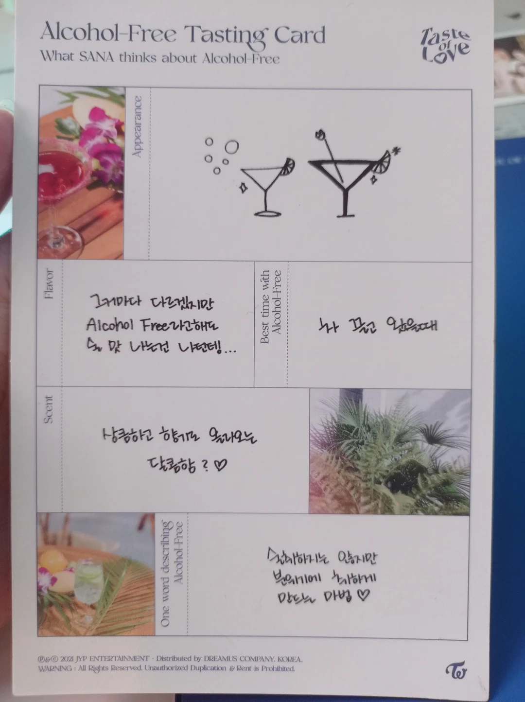 Sana Tasting Card Translation | Scrolller