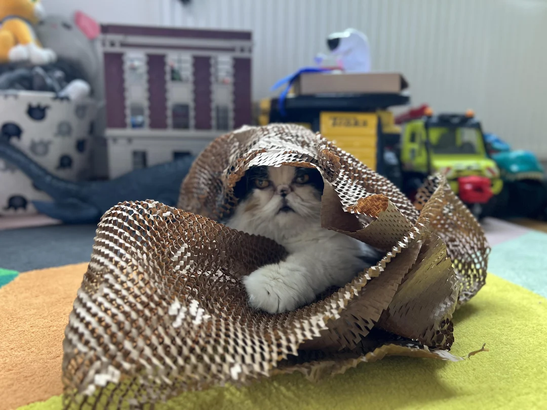 Amazon packaging trap | Scrolller