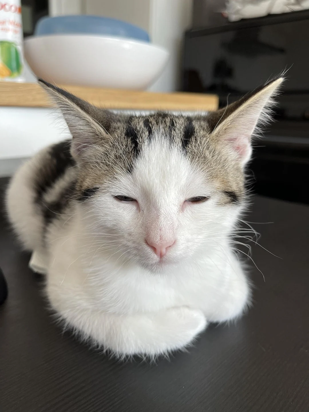 I’m …. About… zzzzz | Scrolller