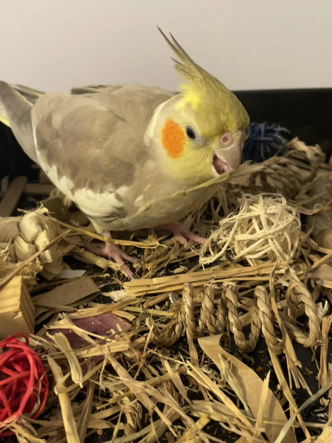 Repurpose old toys and make a foraging tray! | Scrolller