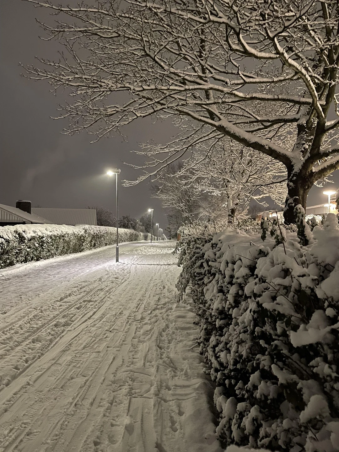 Snowy Aarhus,Denmark, last week | Scrolller