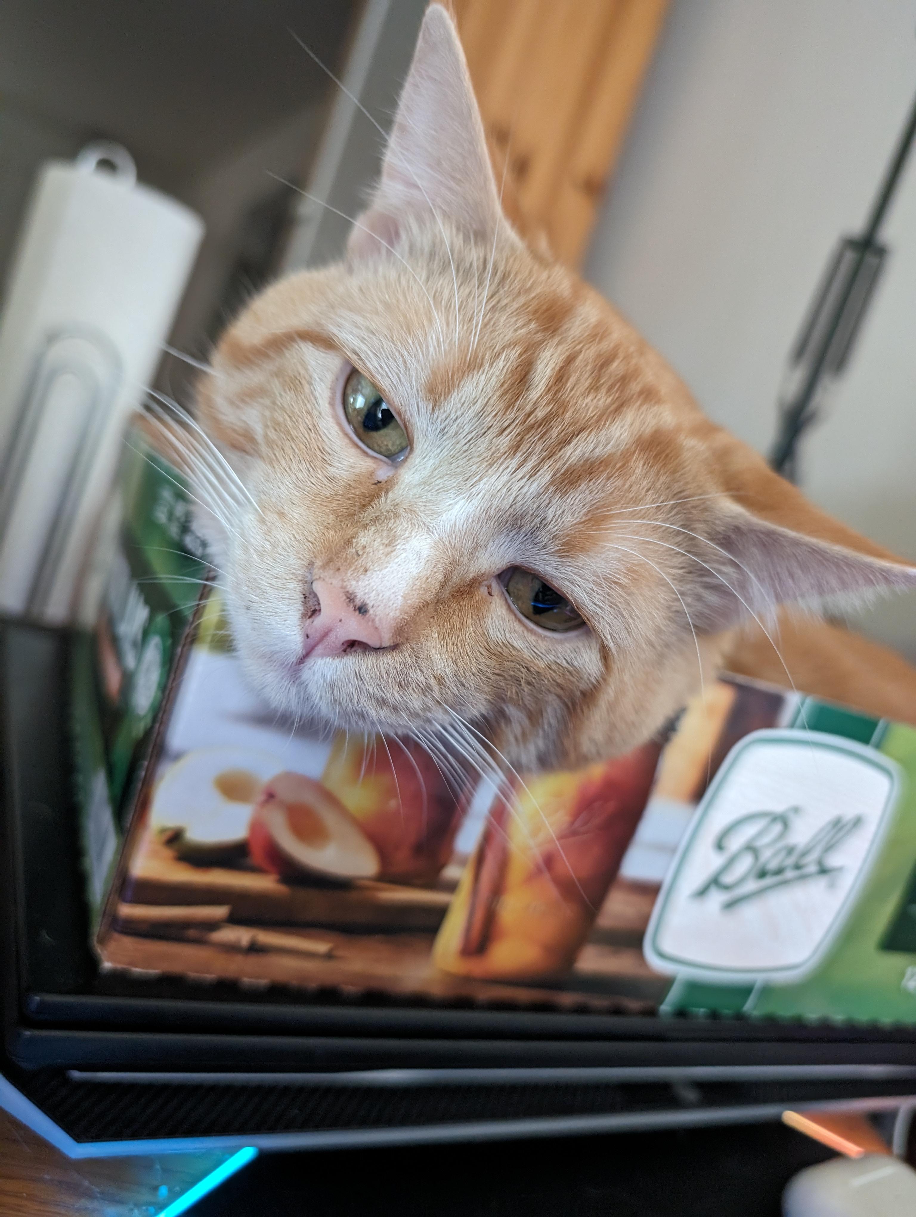 Problem Solved | Scrolller