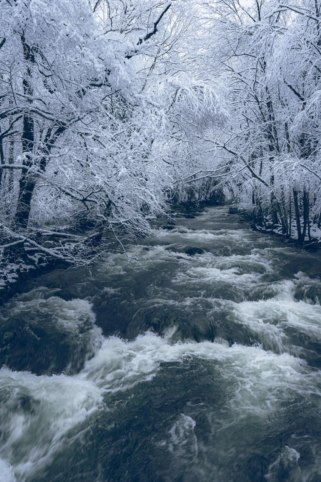 Icy river | Scrolller