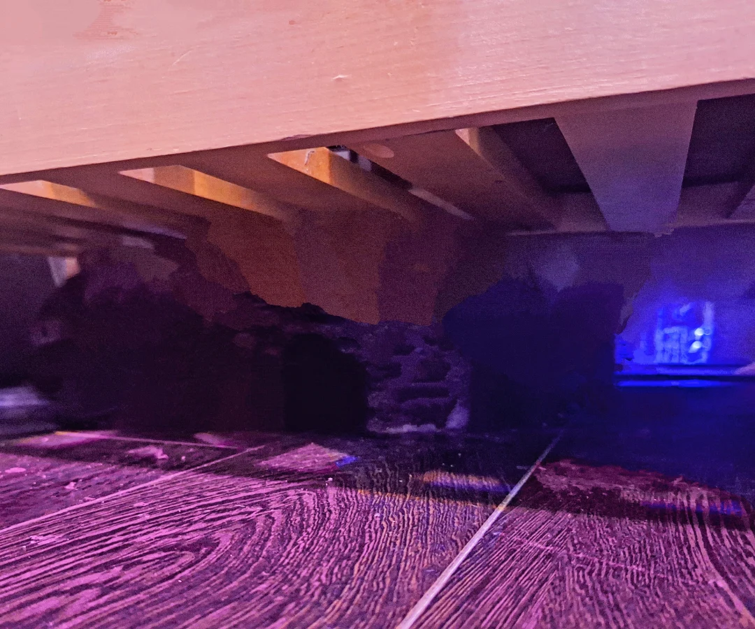 Cyberpunk Bo | Scrolller